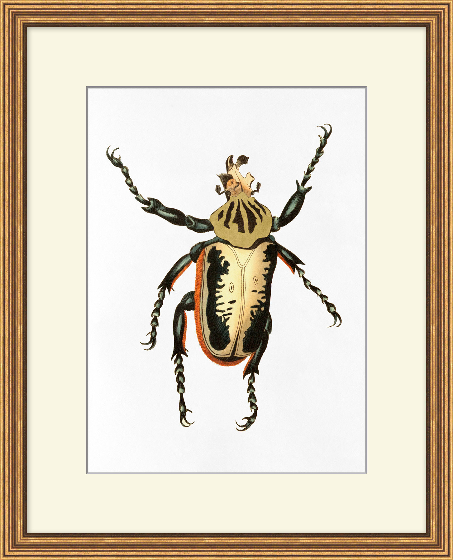 Wendover Art Group Gilded Beetle 6 by Lillian August - Picture Frame ...