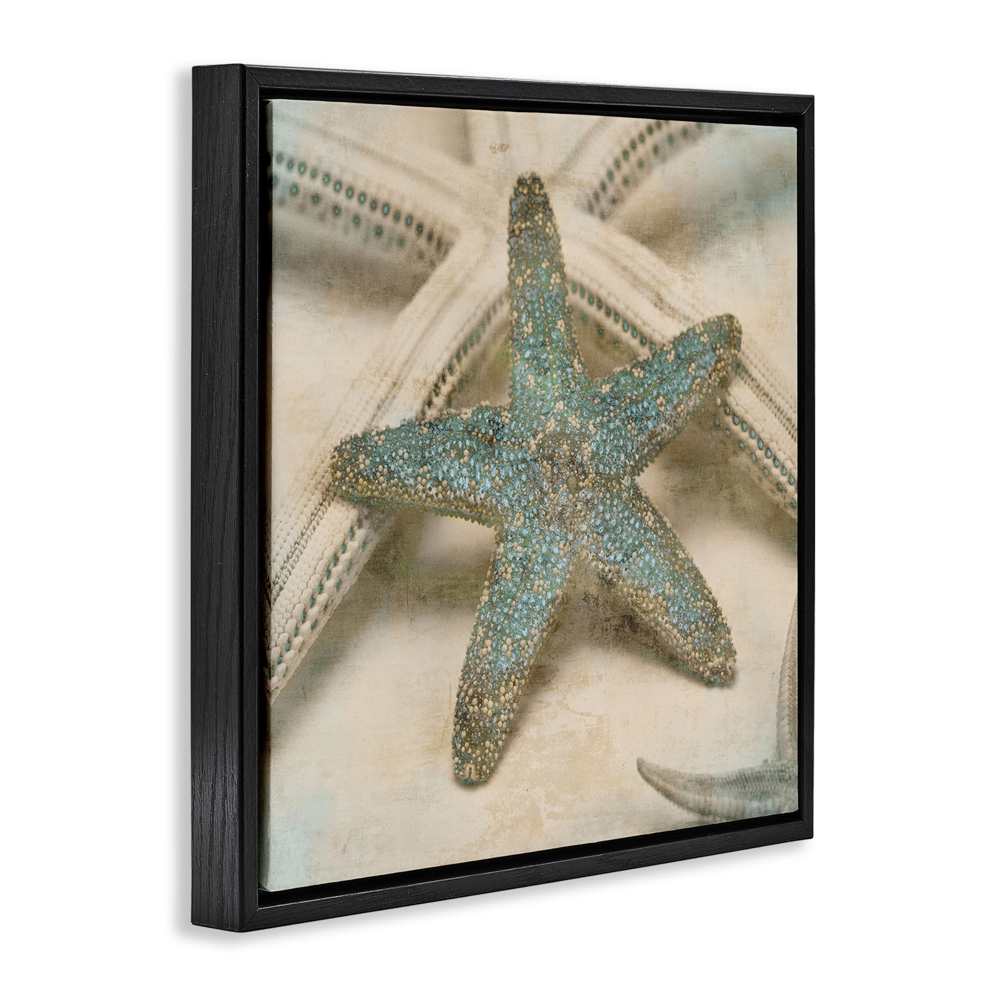 Dovecove Distressed Texture Starfish Framed Floater Canvas Wall Art by ...