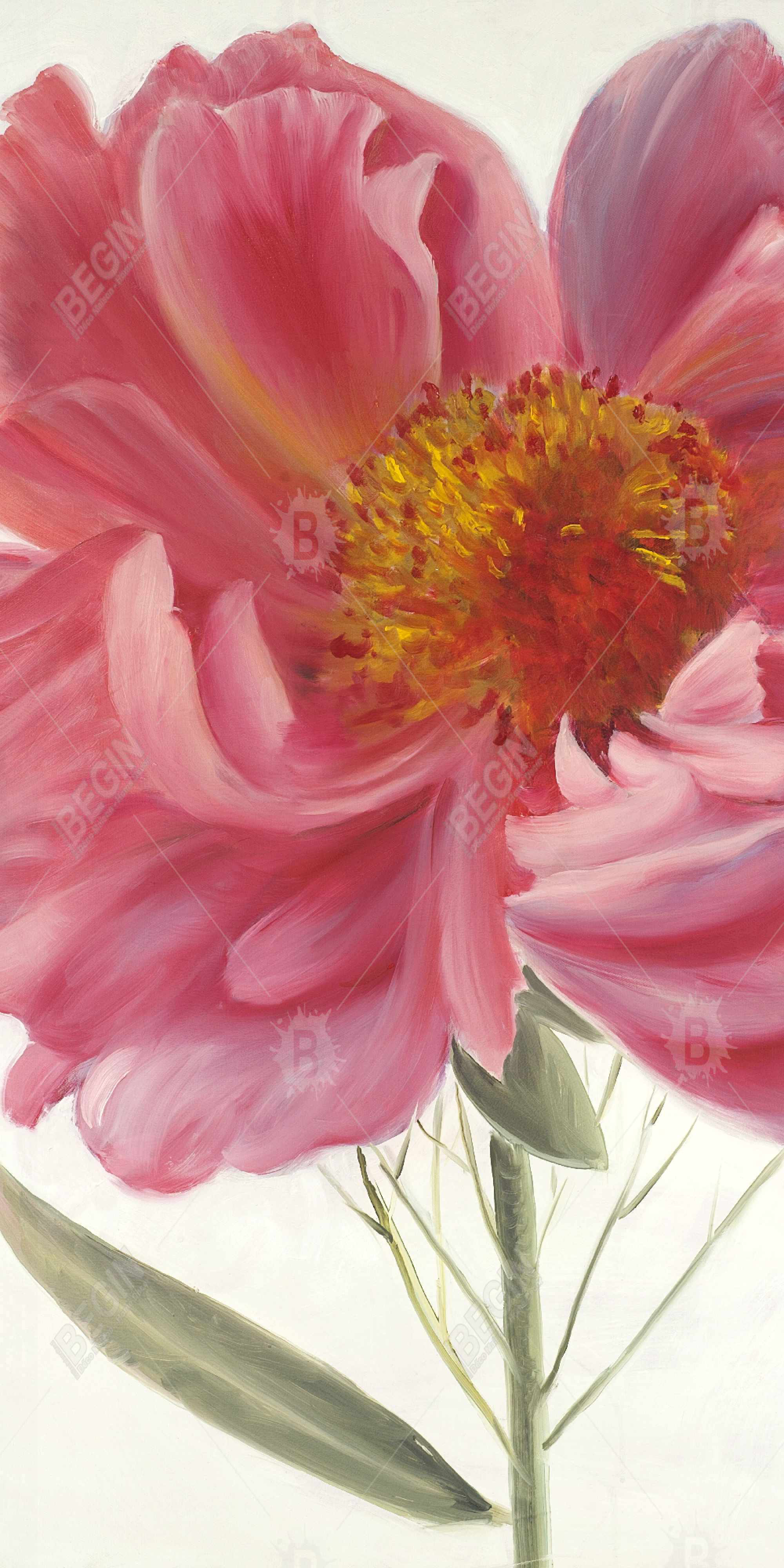 Begin Edition International Inc. Pink peony flower - 15.75"x31.50" Desk ...