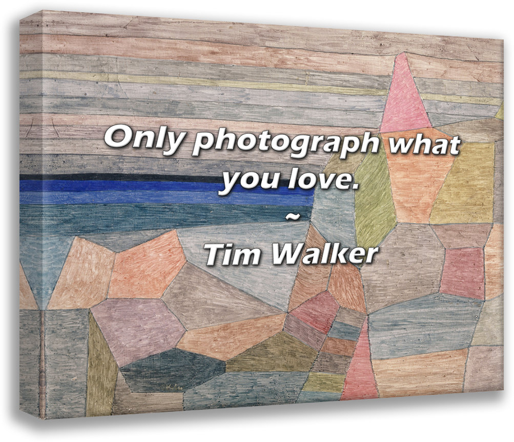 Latitude Run® Artsy Quote "Only photograph what you love." By Tim ...