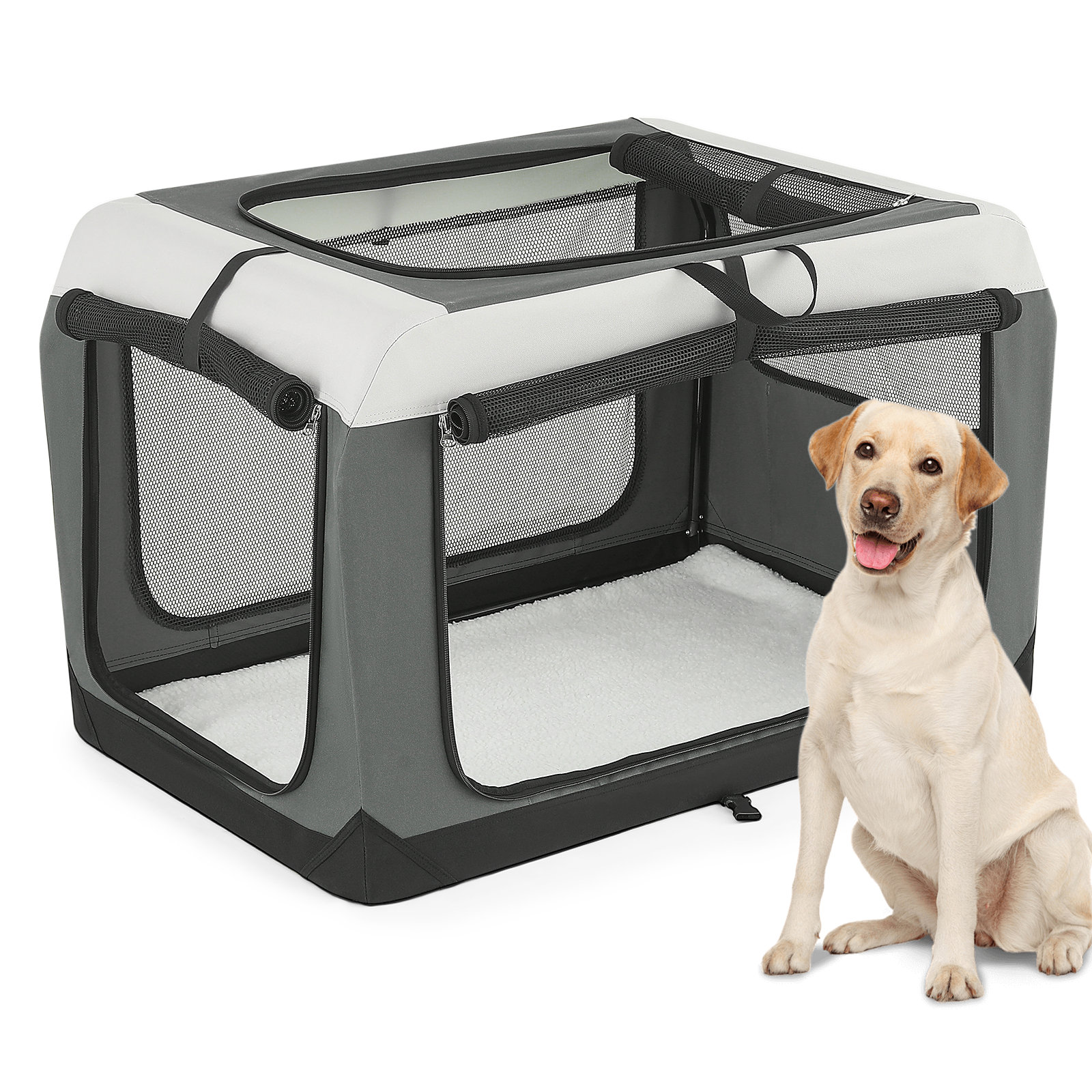 Tucker Murphy Pet™ Collapsible Pet Dog Crate With 3 Door And Steel ...