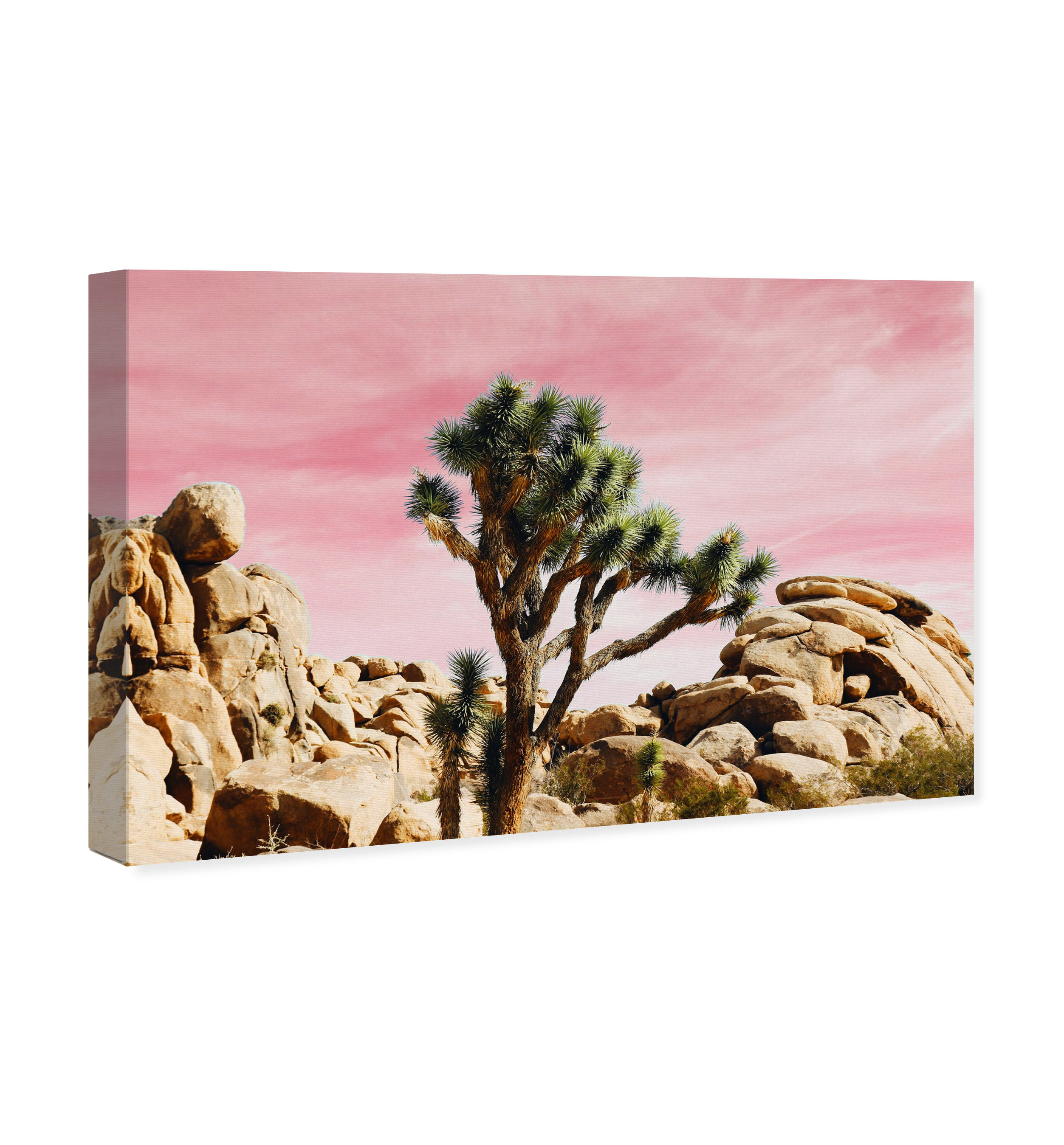 Bungalow Rose 'Joshua Tree Pink' Graphic Art Print | Wayfair