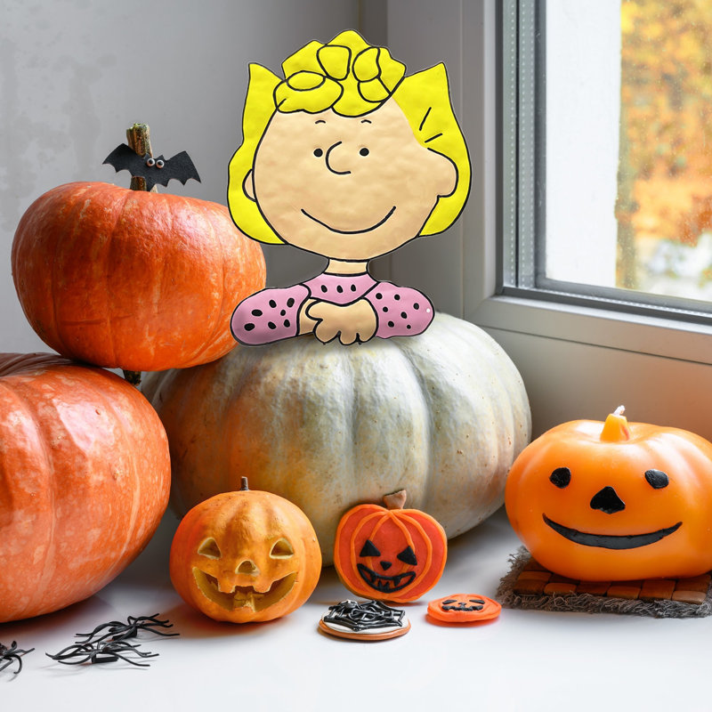 The Holiday Aisle® Peanuts Sally Pumpkin Garden Stake | Wayfair