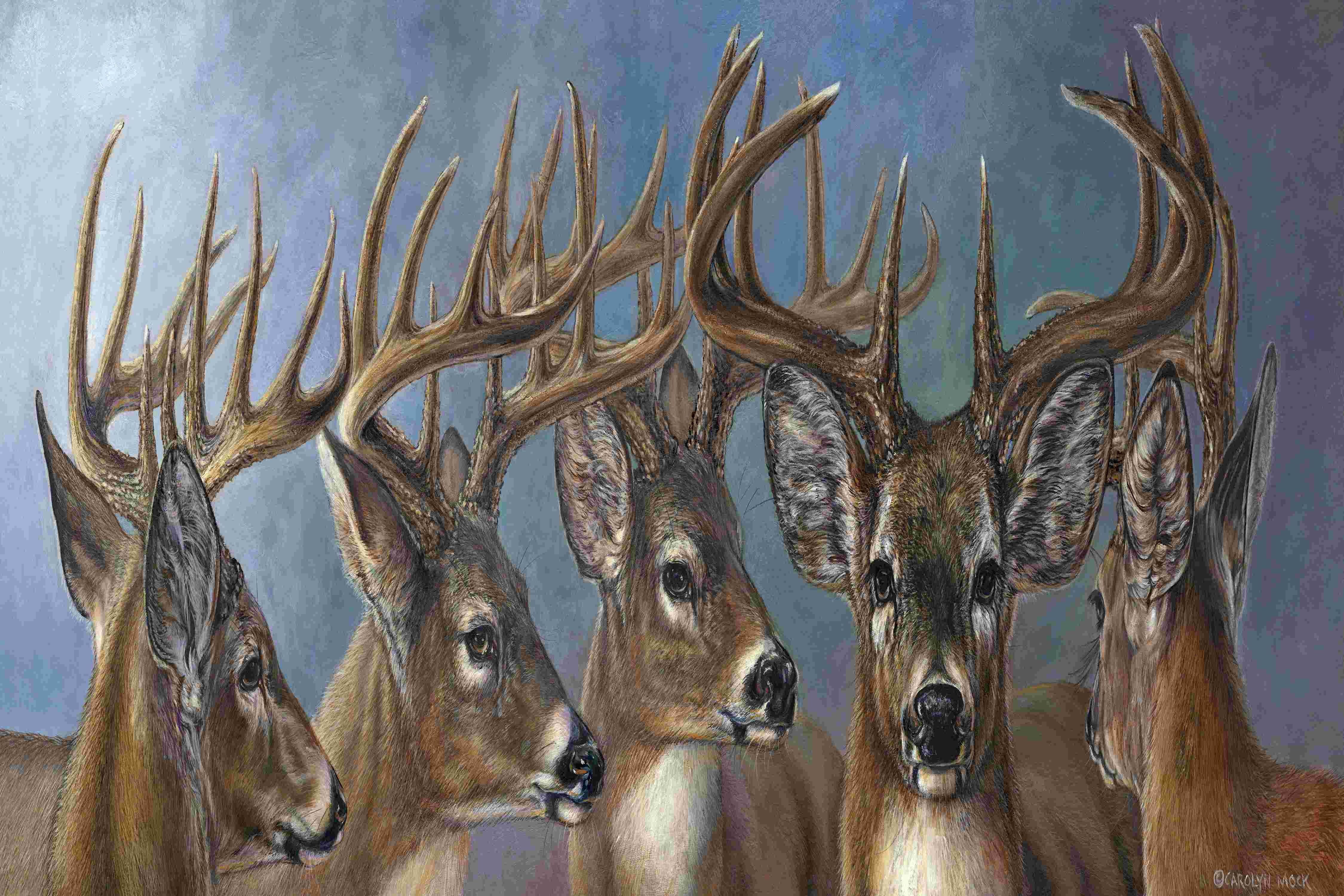 Foundry Select Five Bucks - Wayfair Canada