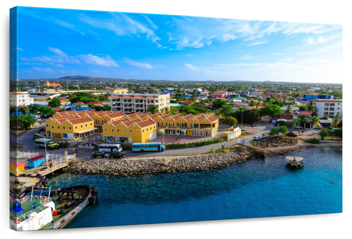 Elephant Stock Port Of Bonaire | Wayfair