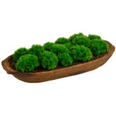 Uttermost Preserved Moss Arrangement in Pot | Wayfair