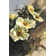 Rosalind Wheeler Hadfield Roses I by Clif Hadfield - Wrapped Canvas Art ...