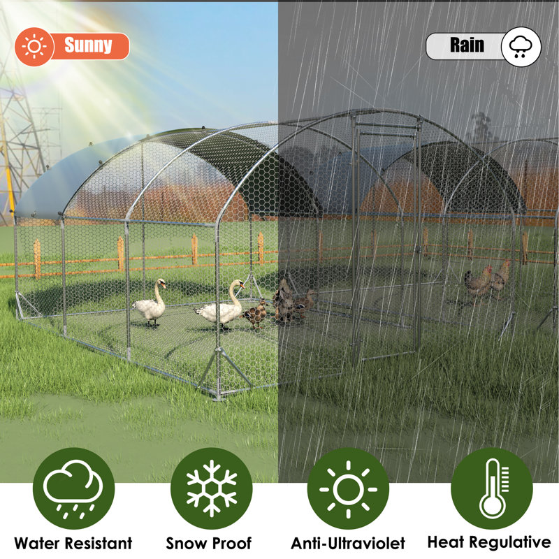 Tucker Murphy Pet™ Fulmore 18.7 Square Feet Chicken Run | Wayfair