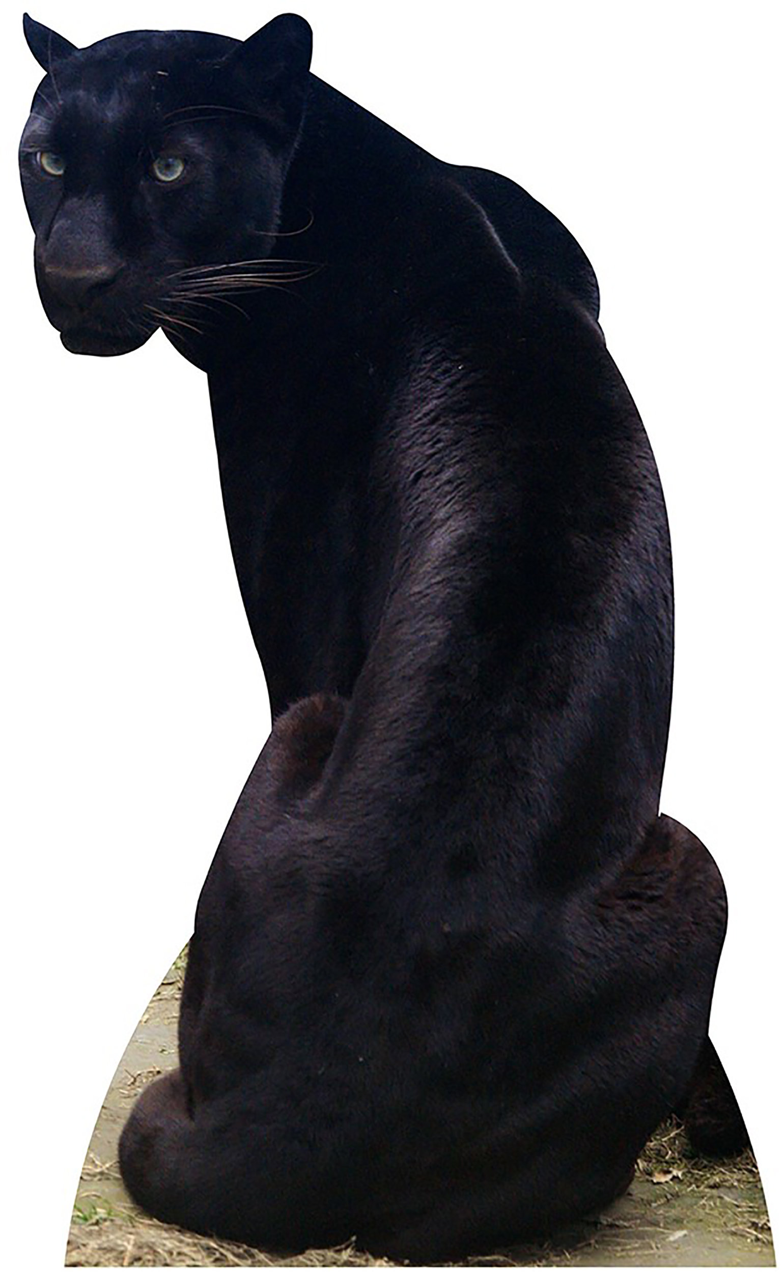 Star Cutouts Panther Cardboard Standup | Wayfair