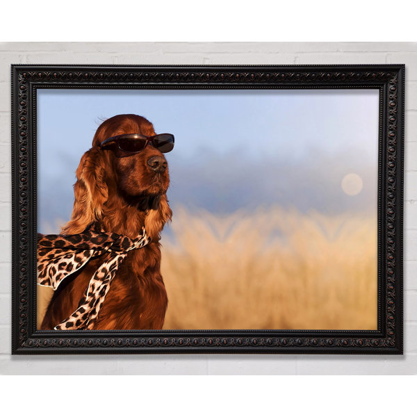 Bright Star Glamorous Irish Setter Dog - Single Picture Frame Print ...