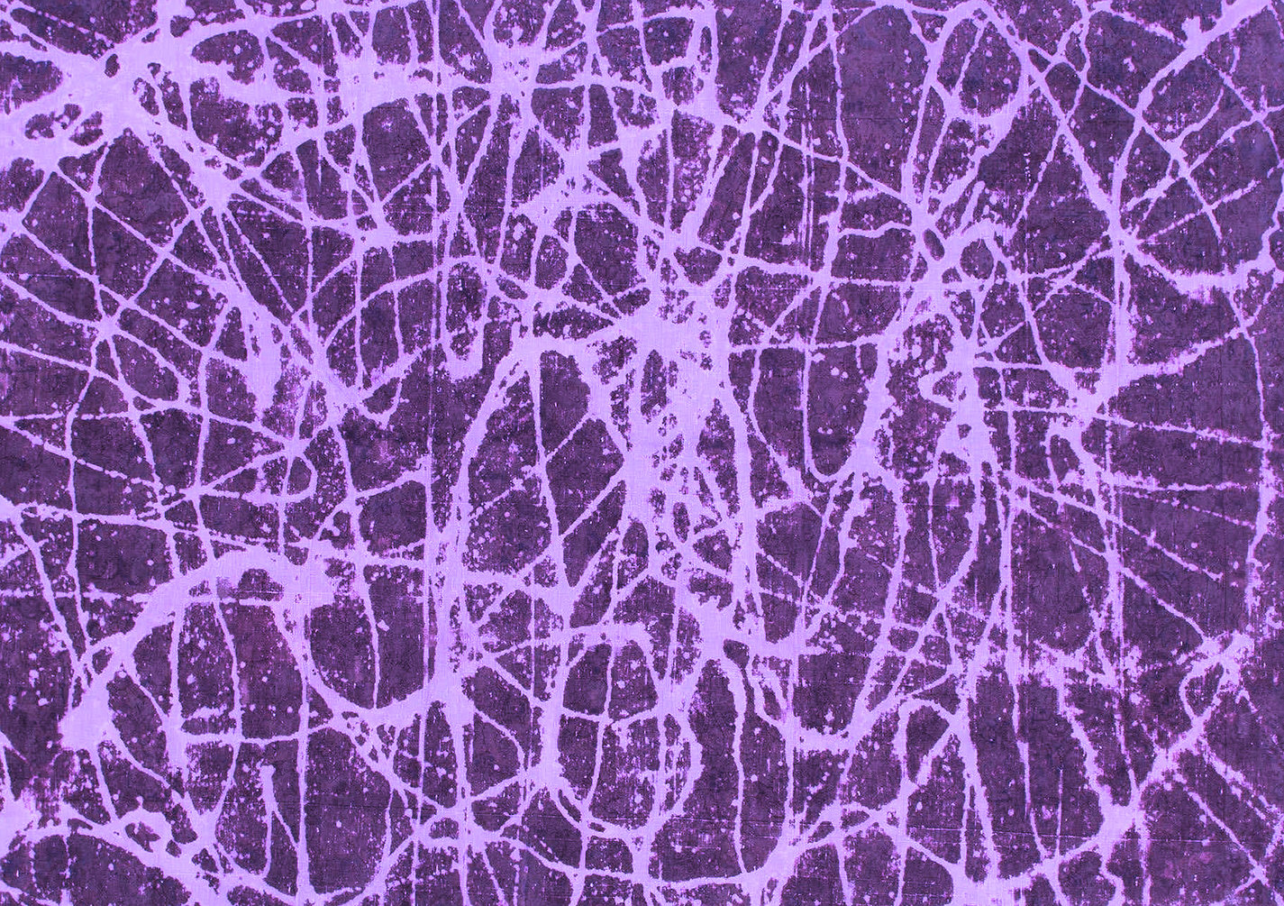 17 Stories Jamely Purple Rug - Wayfair Canada