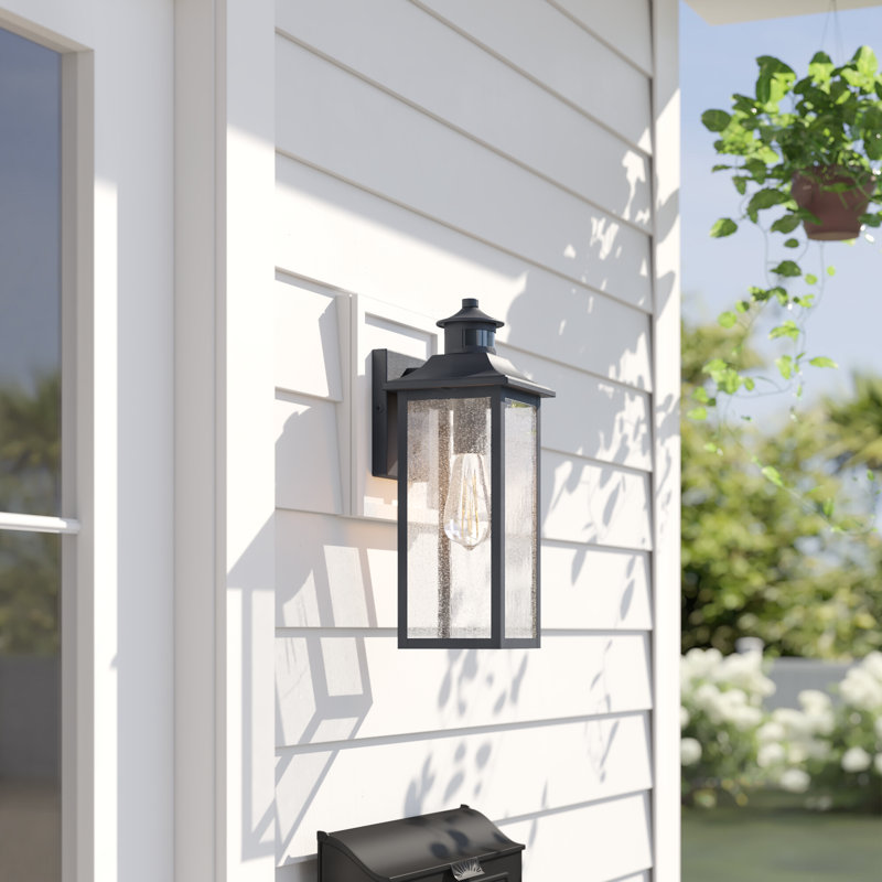 Lark Manor™ Anrea Iron Wall Light & Reviews | Wayfair