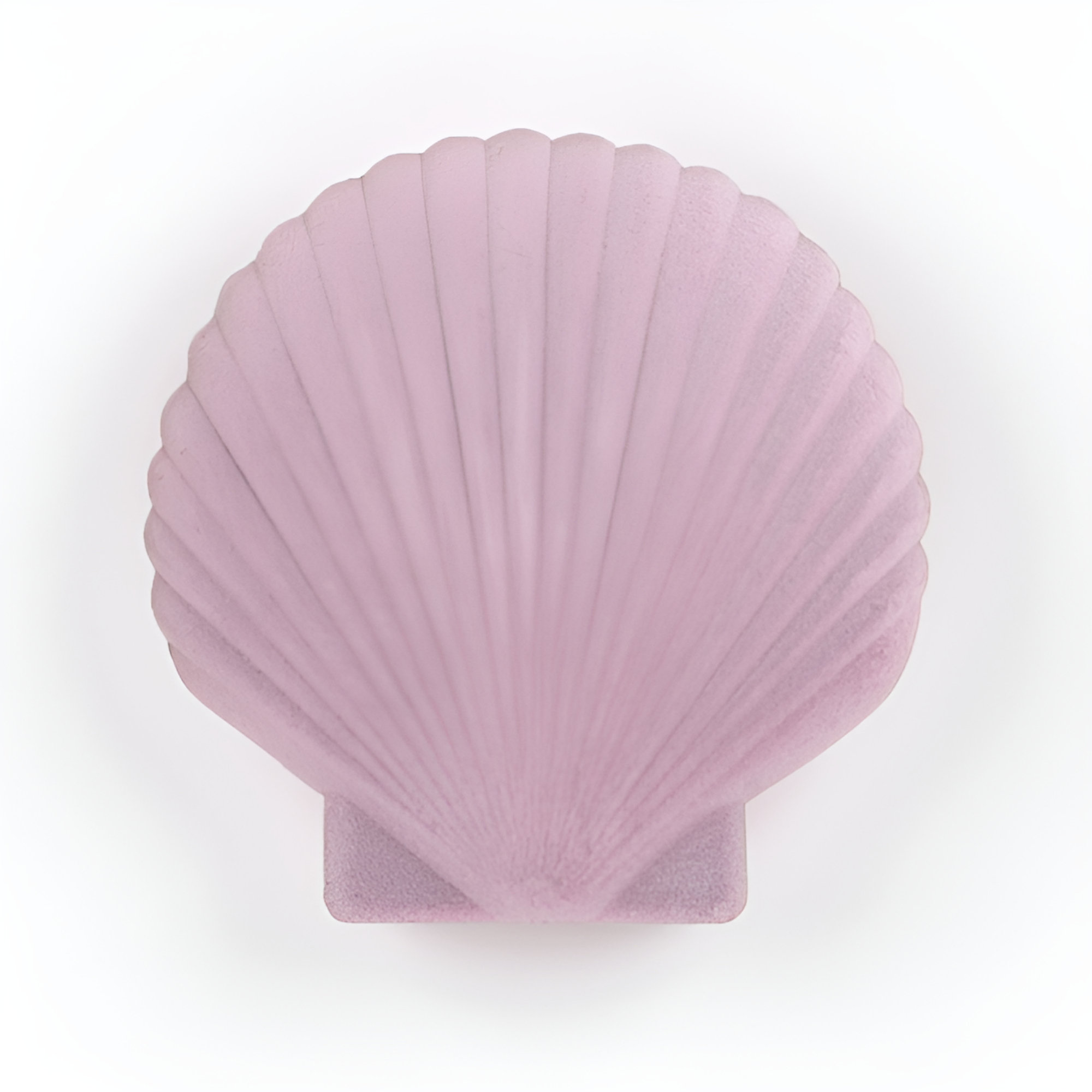 Dovecove Portable Shell Jewelry Box Velvet Texture Skin Friendly Care ...