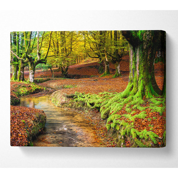 Alpen Home Gentle Shallow Stream Woodland - Wrapped Canvas Photograph ...