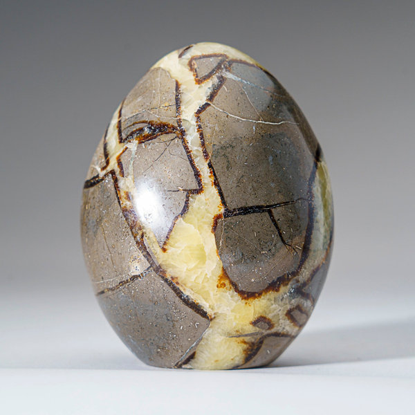 Astro Gallery of Gems Polished Septarian Freeform From Madagascar (1.4 ...