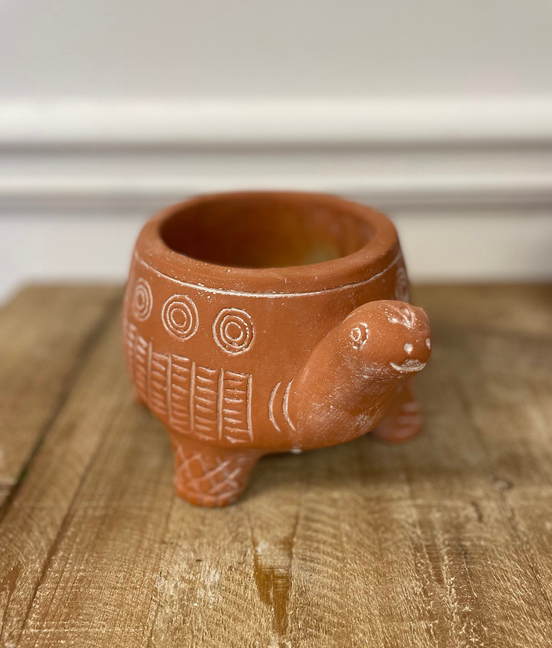 Ophelia & Co. Cement Turtle Planter | Wayfair