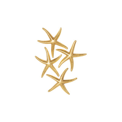 starfish wall decor