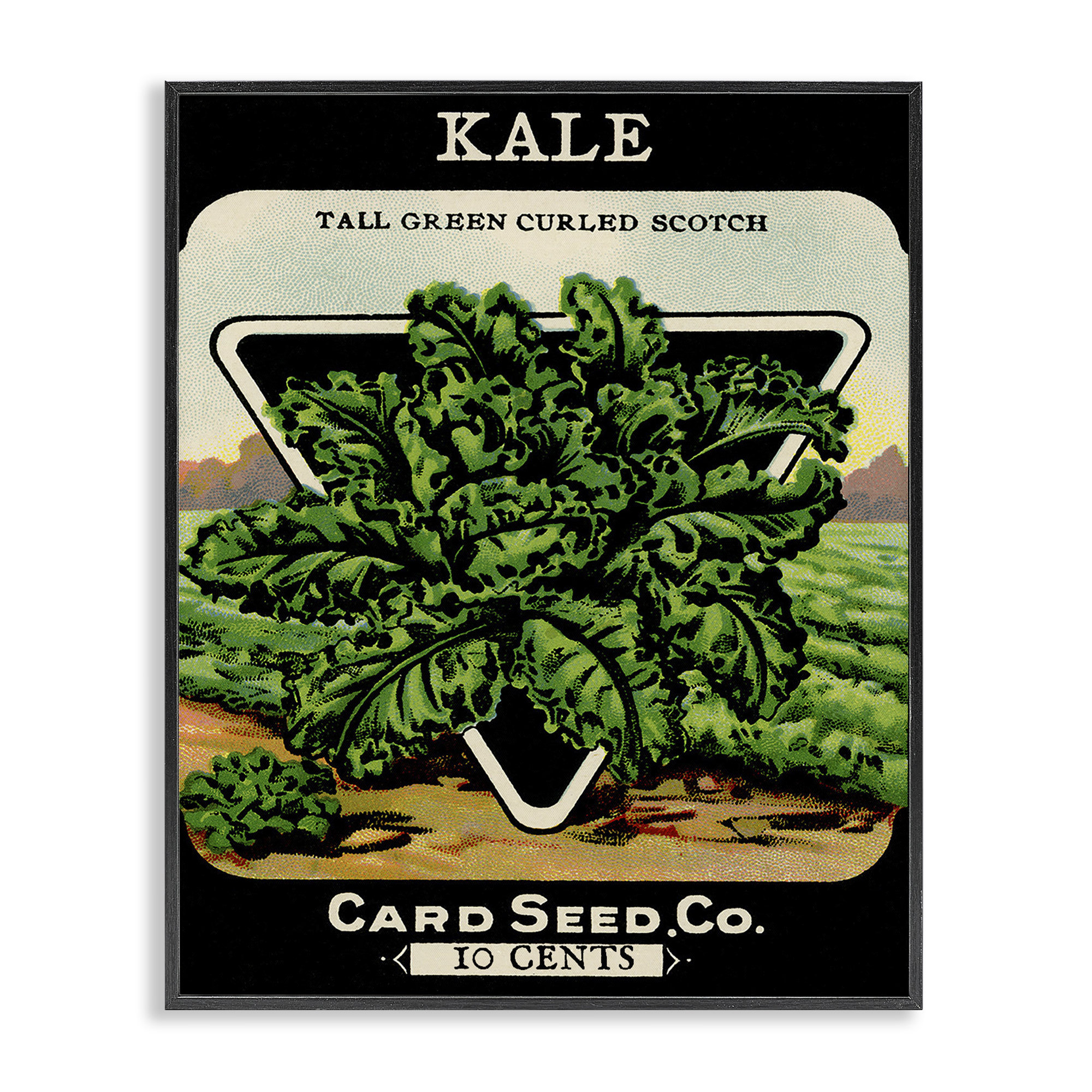 Dakota Fields Vintage Garden Kale Framed Giclee, design by Lil' Rue ...