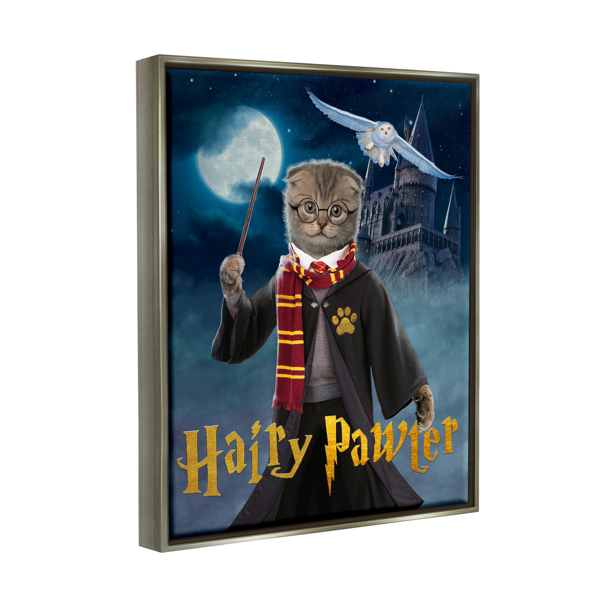 Trinx Hairy Pawter Cat Wizard - Wayfair Canada