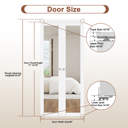 ARK DESIGN 1-Lite Mirrored Pivot-French Solid Core Doors With ...