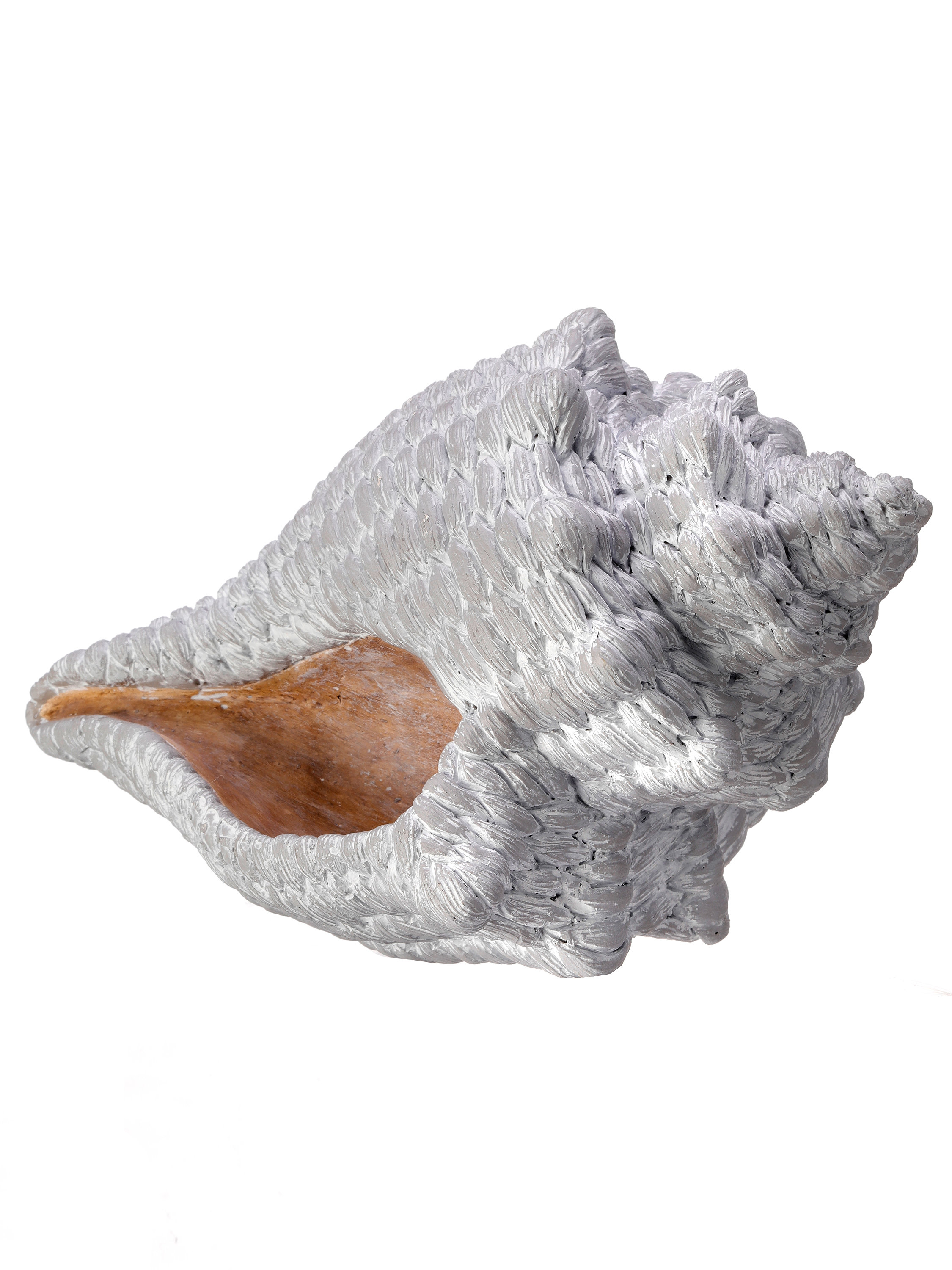 Highland Dunes Anazagene 'Fabric Weave' Conch Shell | Wayfair