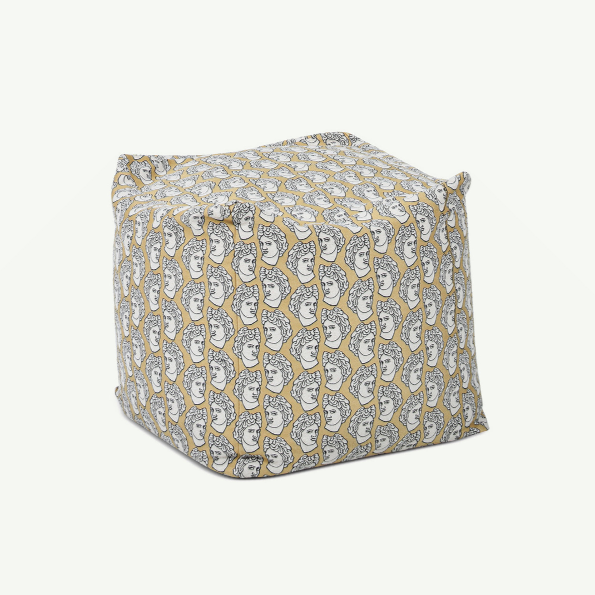 Red Barrel Studio® Pouf 20" Luxury Oversized Bean Bag Cube Ottoman ...