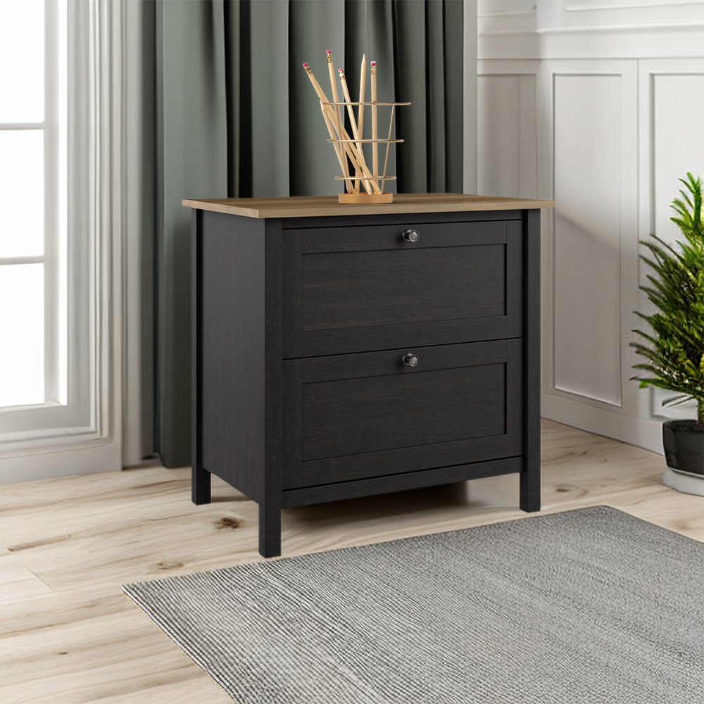 Wildon Home® 2 Drawer Lateral File Cabinet - Wayfair Canada