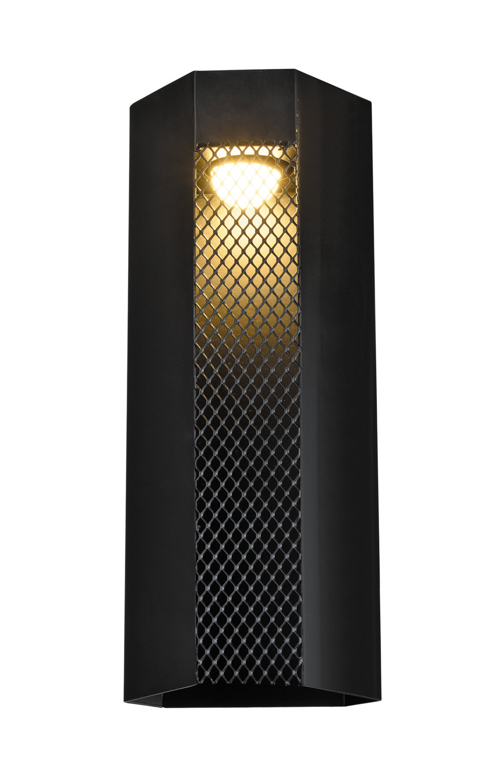 Williston Forge Teague LED Outdoor Wall Lantern | Wayfair