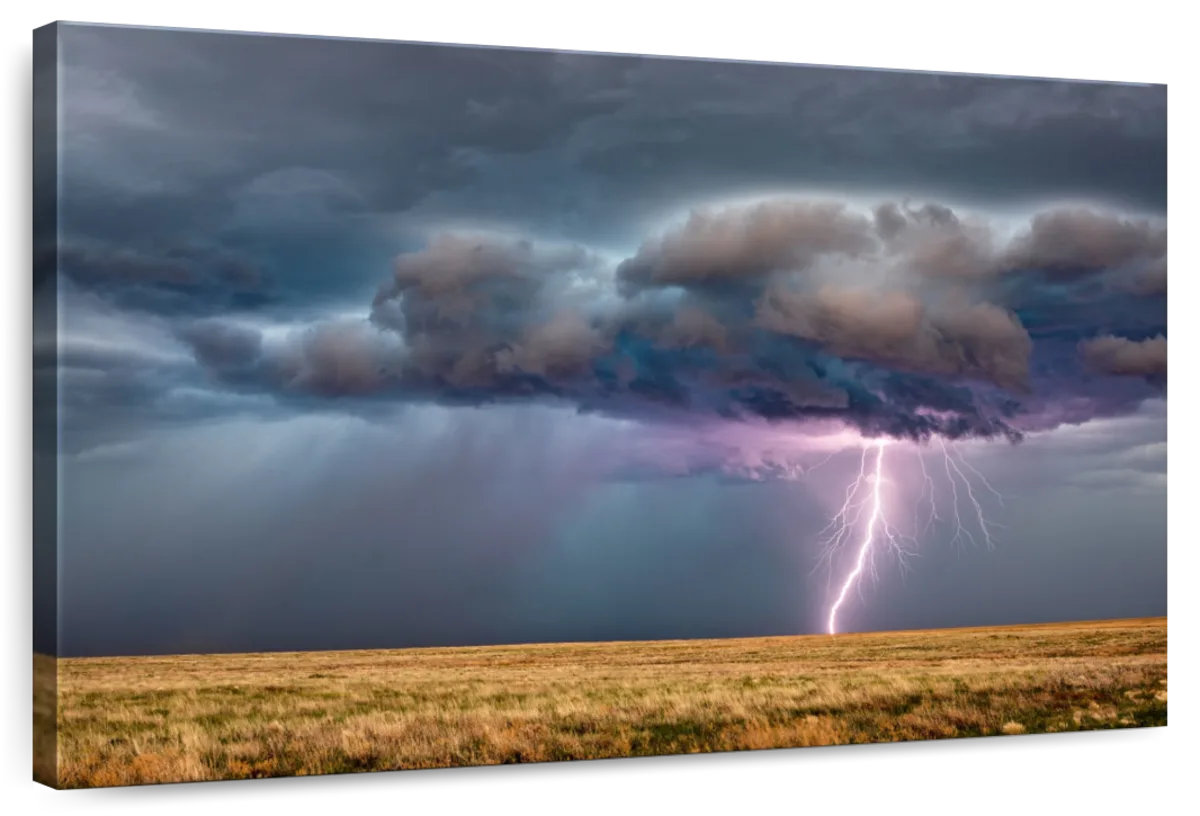 Millwood Pines Alvord Haswell Lightning Storm | Wayfair