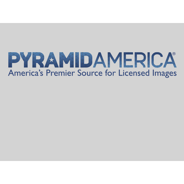Pyramid America | Wayfair