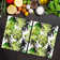 Bay Isle Home Arcanum Palm Trees Leaf Tropical Chopping Board | Wayfair ...