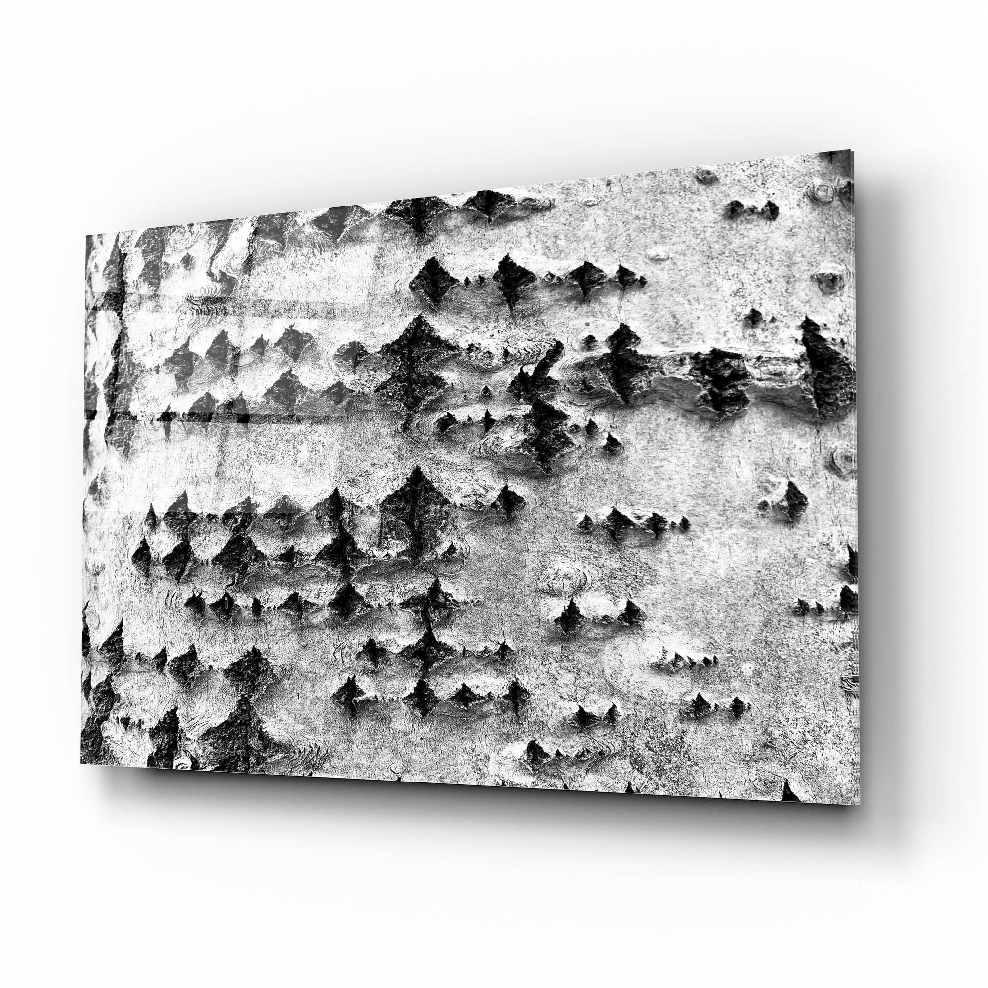 Orren Ellis Zigmond On Plastic/Acrylic Print | Wayfair