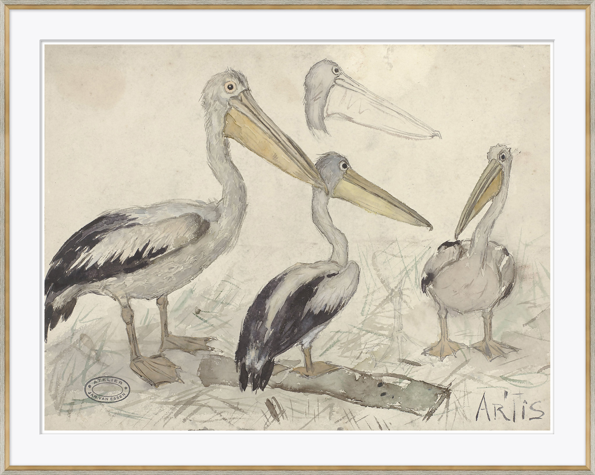 Soicher Marin 'Sea Birds 2' - Picture Frame Graphic Art on Paper ...