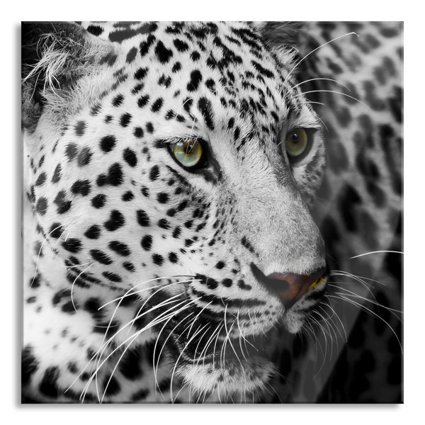17 Stories Proud Leopard - No Frame Print on Glass | Wayfair.co.uk