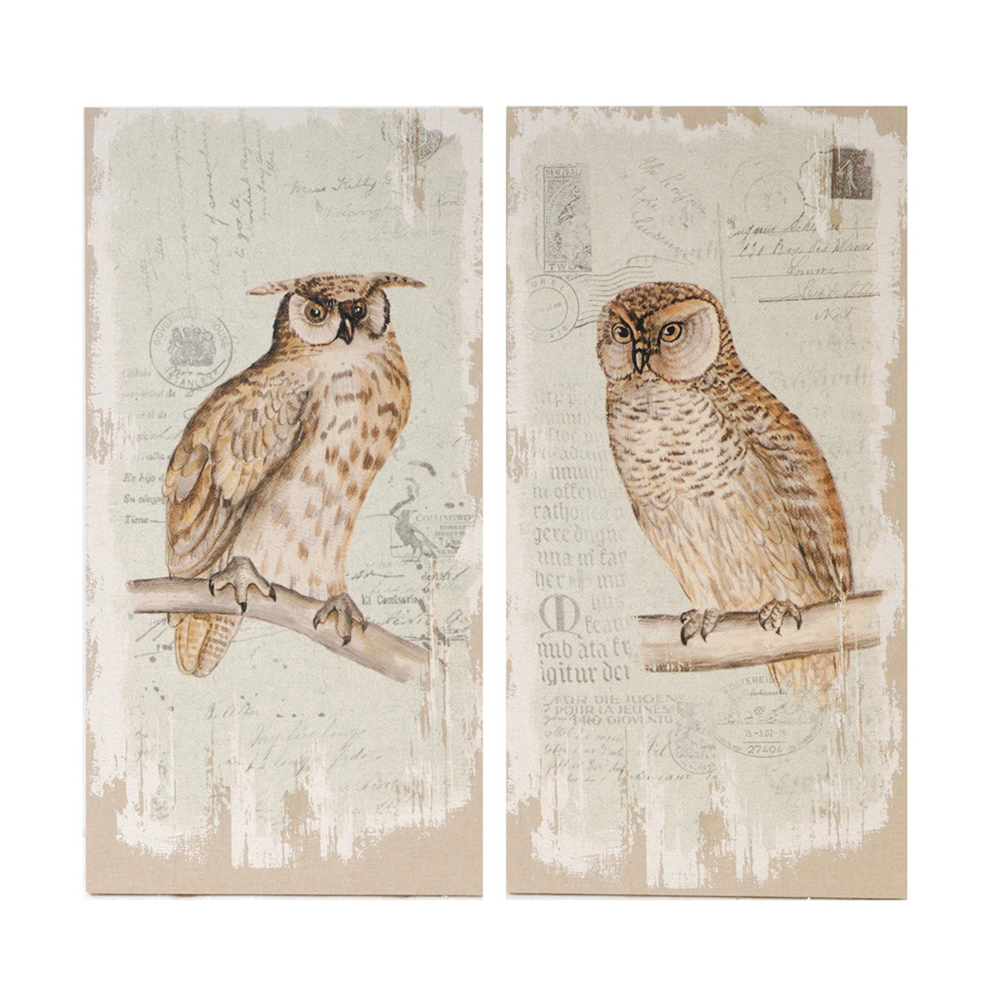 Ophelia & Co. Set Of 2 Lilith Owl Prints With Distressed Look ...