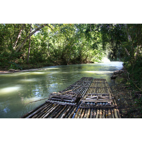 Millwood Pines Amrinder Bamboo Rafts On Canvas by Lisastrachan ...