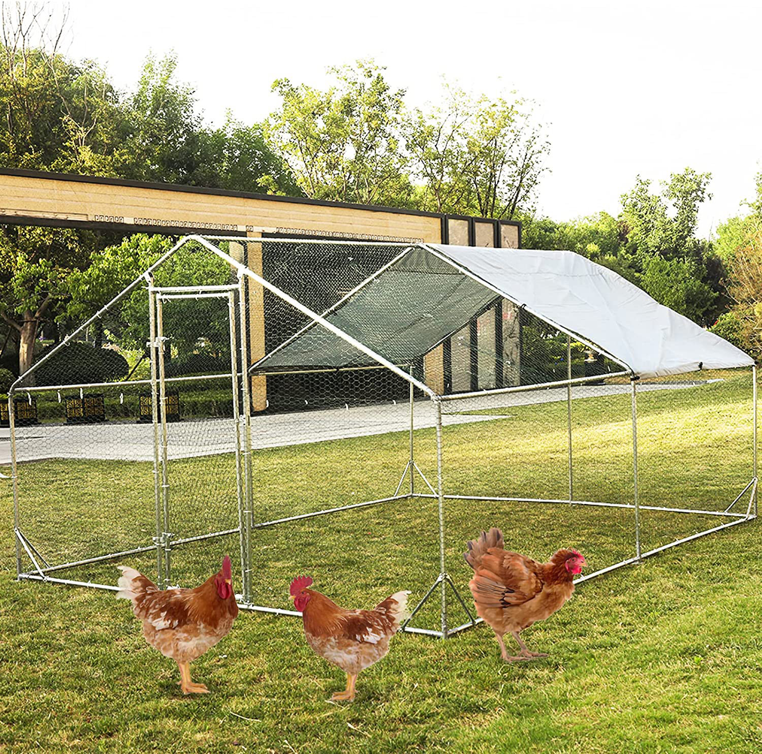 Tucker Murphy Pet™ Daintin Walk in Chicken Coop with Chicken Run | Wayfair