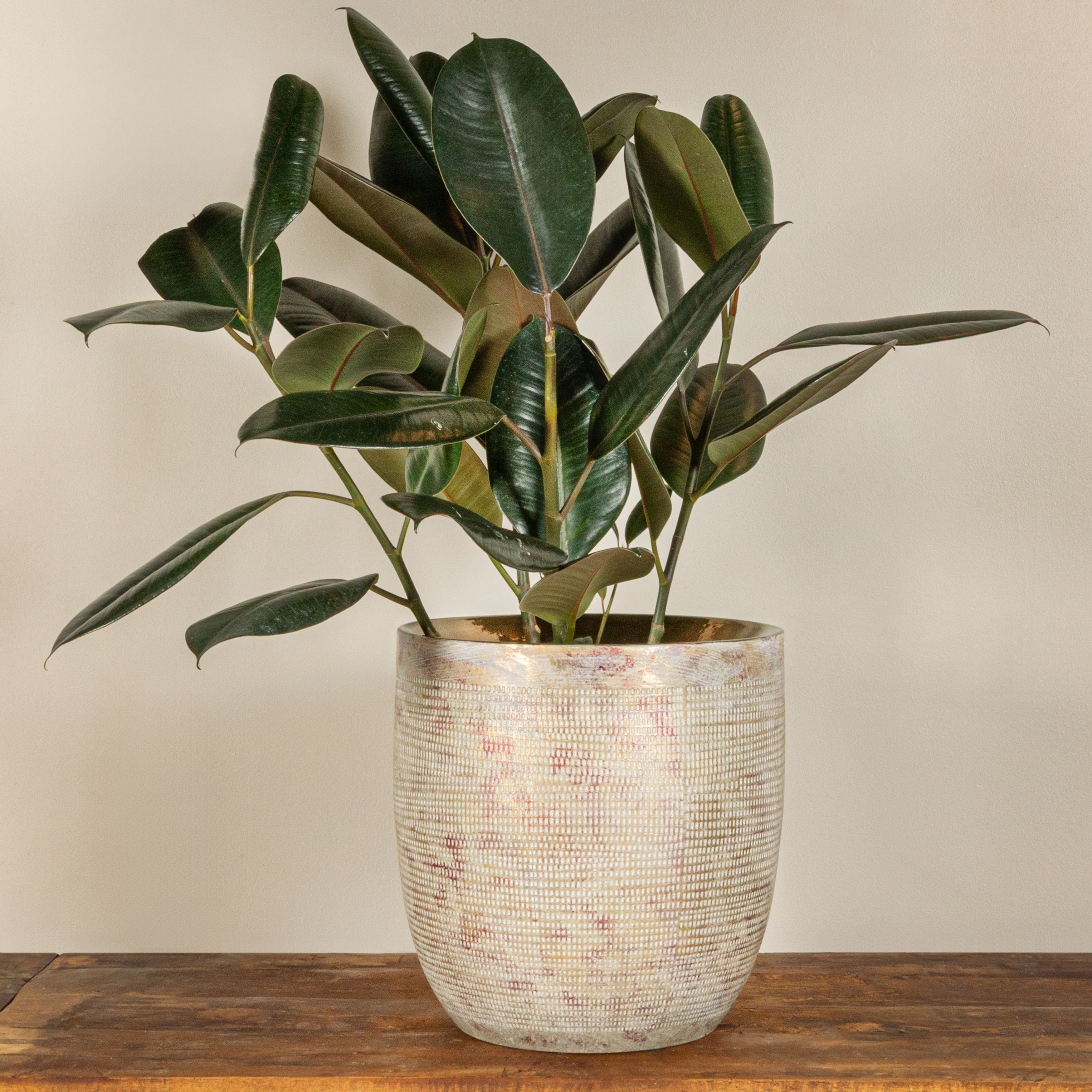 Three Posts™ Marcial Ceramic Pot Planter & Reviews | Wayfair