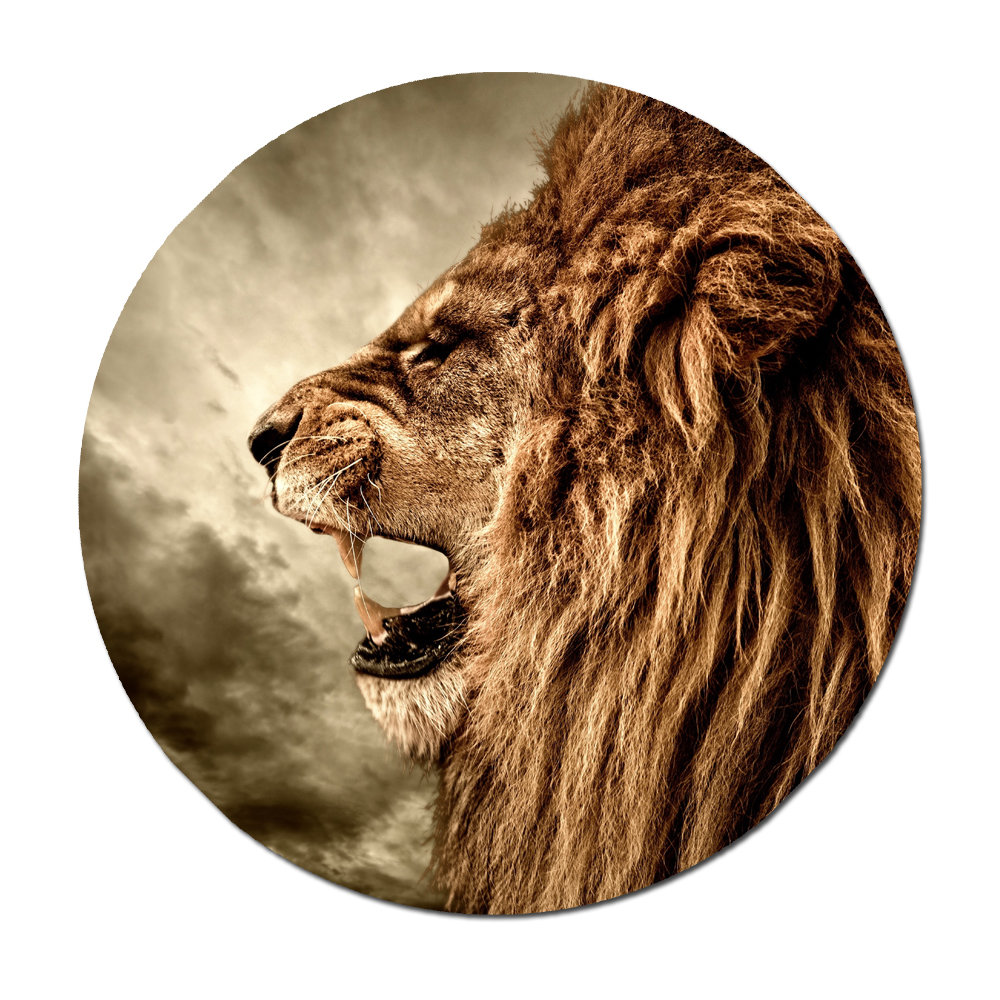 DecorumBY Epic Lion Profile - Photograph | Wayfair
