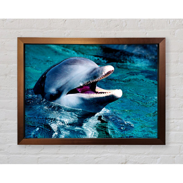 House of Hampton Dolphins Call Framed Print | Wayfair.co.uk