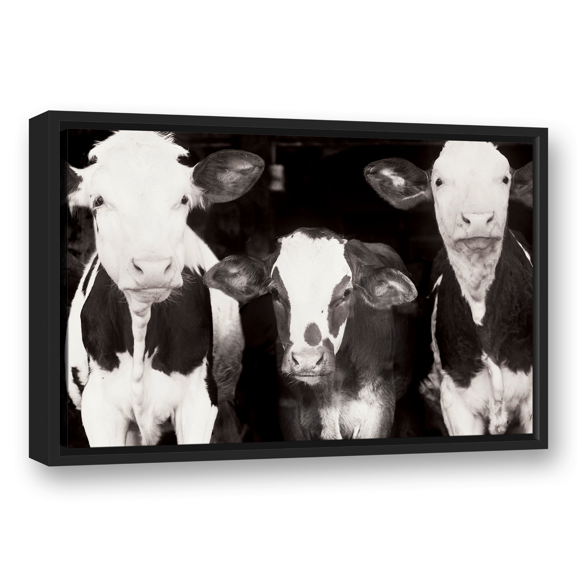 August Grove Cow Cow Pals, reproduction d'art sur toile - Wayfair Canada
