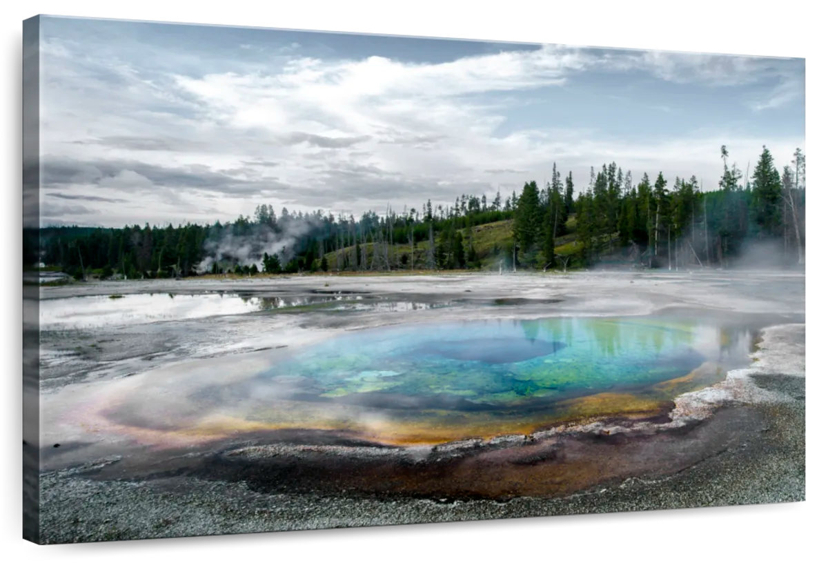 Millwood Pines Alvord Thermal Basin In Yellowstone | Wayfair