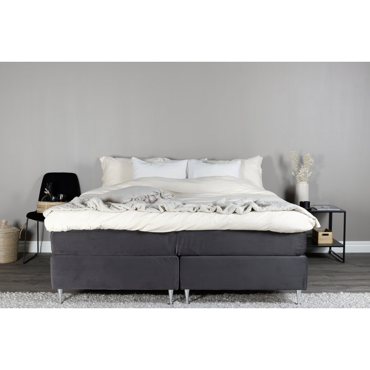 17 Stories Bryona Velvet Fabric Bed | Wayfair.co.uk