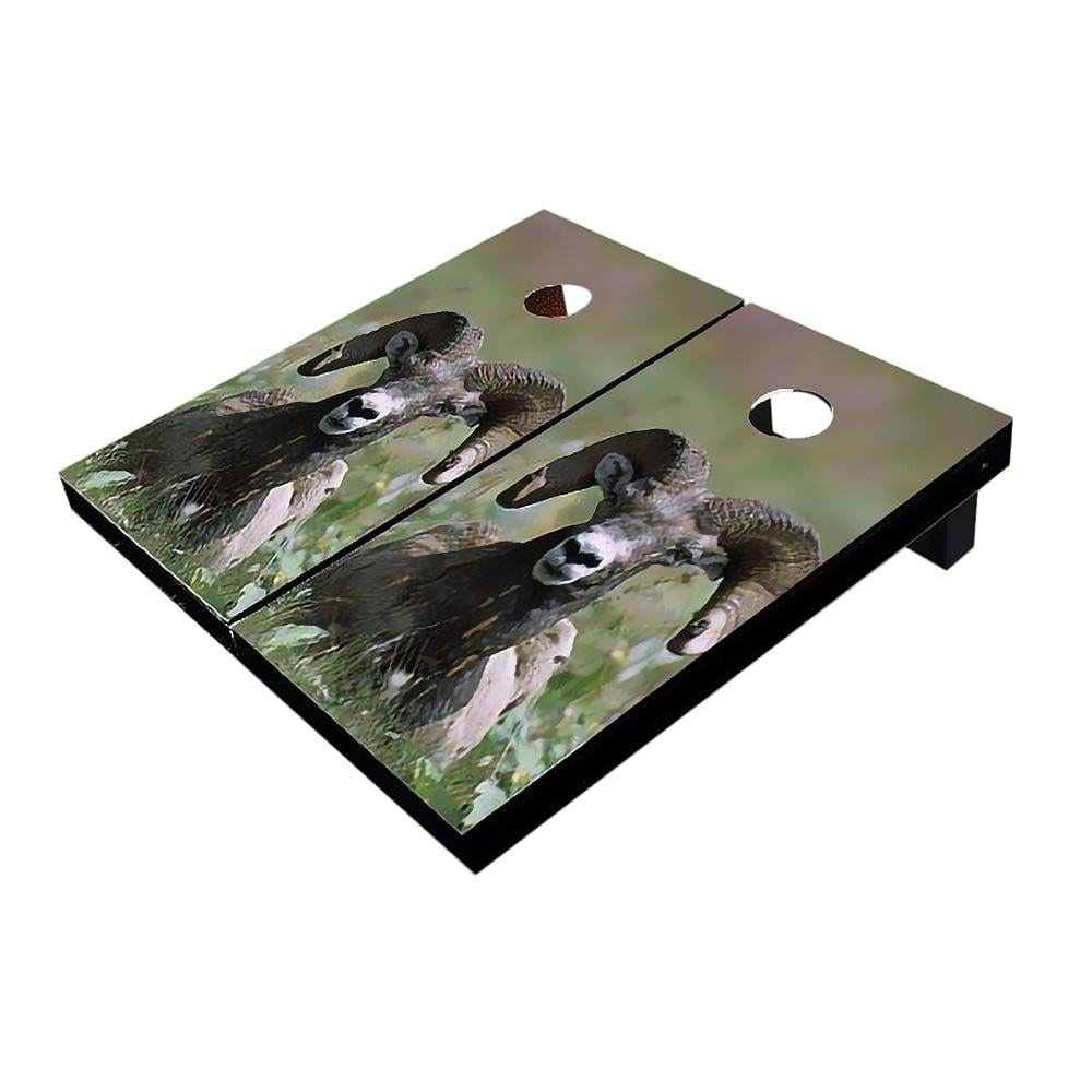 Skip's Garage 2' X 3' Big Horn Cornhole Boards | Wayfair