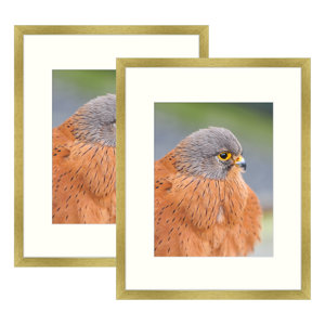 11" x 14" Gold Picture Frames You'll Love | Wayfair