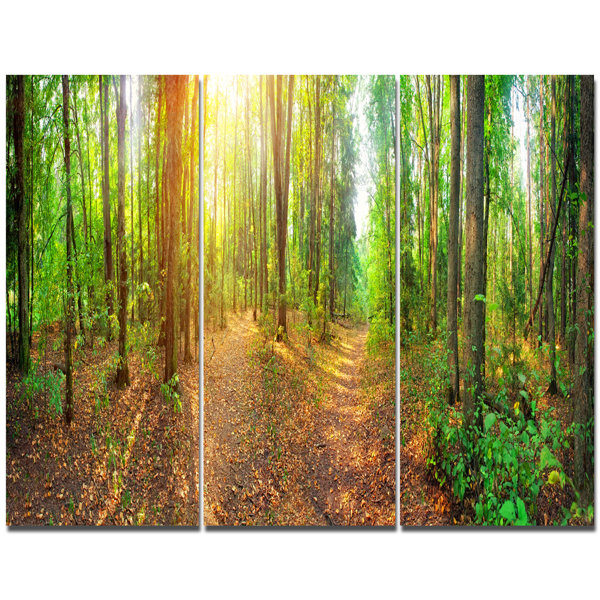 DesignArt Dense Forest Panorama On Canvas 3 Pieces Print | Wayfair