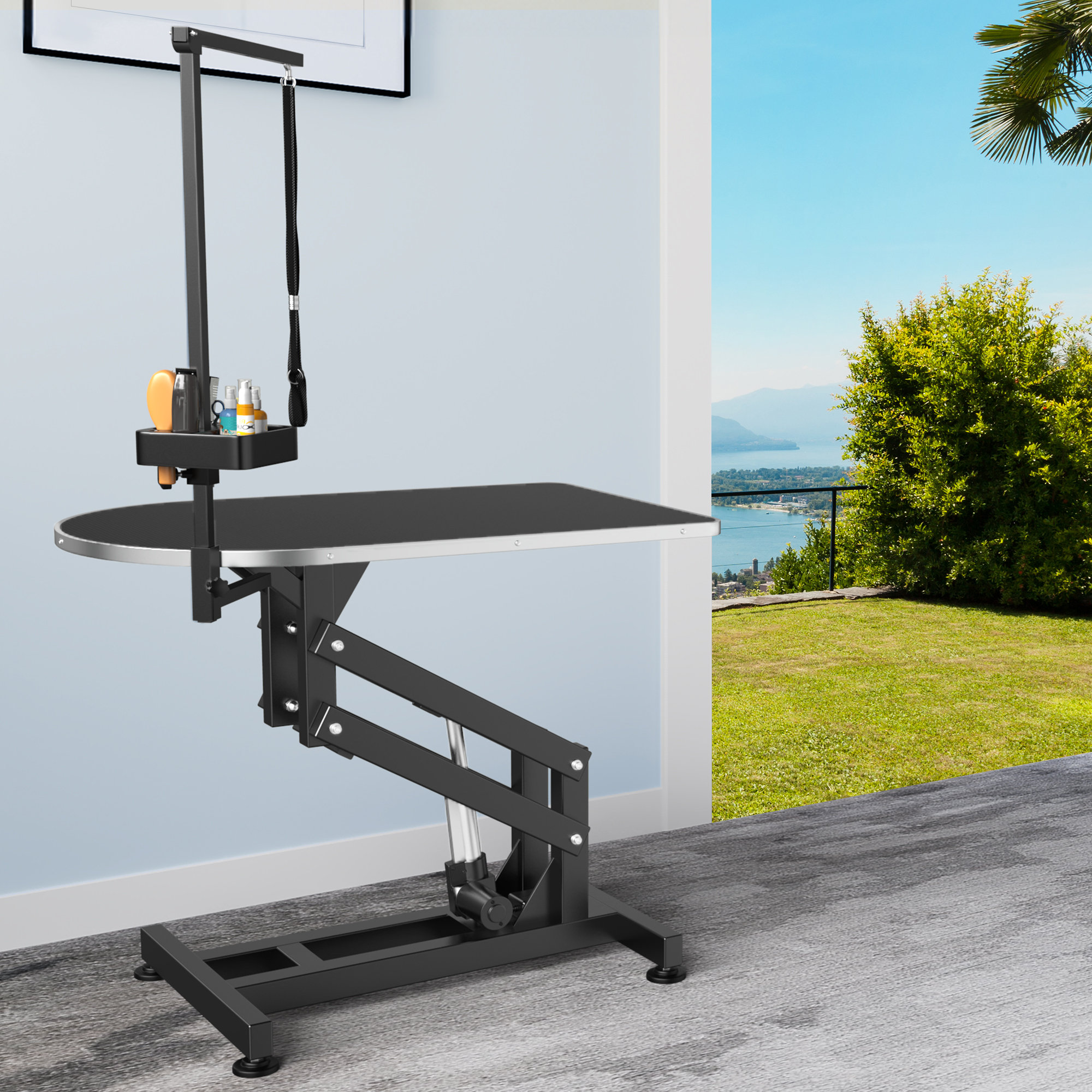 Edrosie Inc Table de toilettage électrique pour chien l 39 po - Wayfair Canada