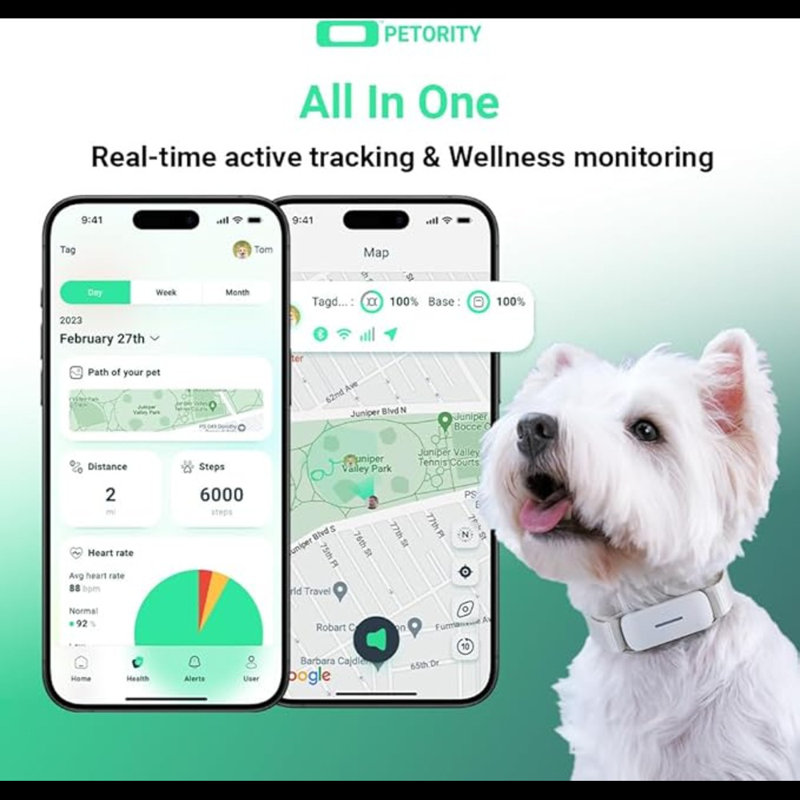 Invenitiah Portable Static Wireless Pet Smart Collar | Wayfair