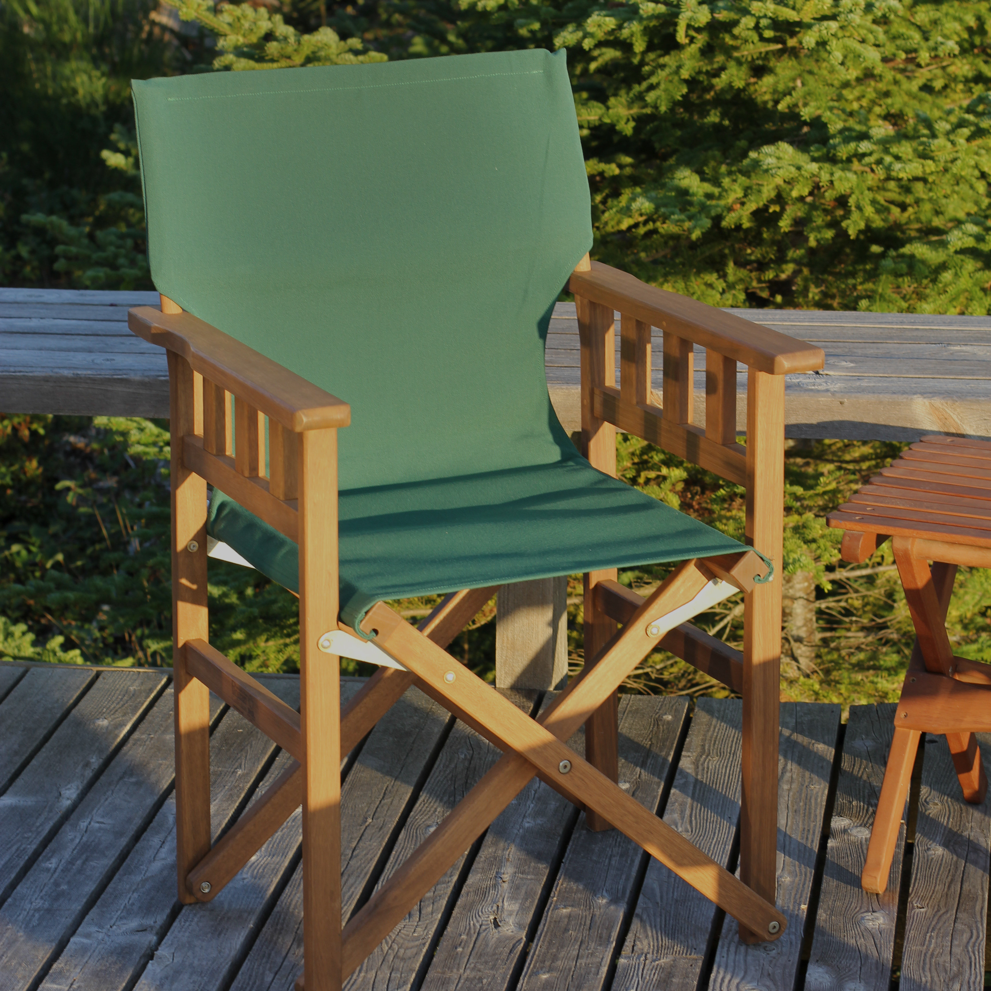 Arlmont & Co. Valenzuela Folding Director Chair & Reviews | Wayfair