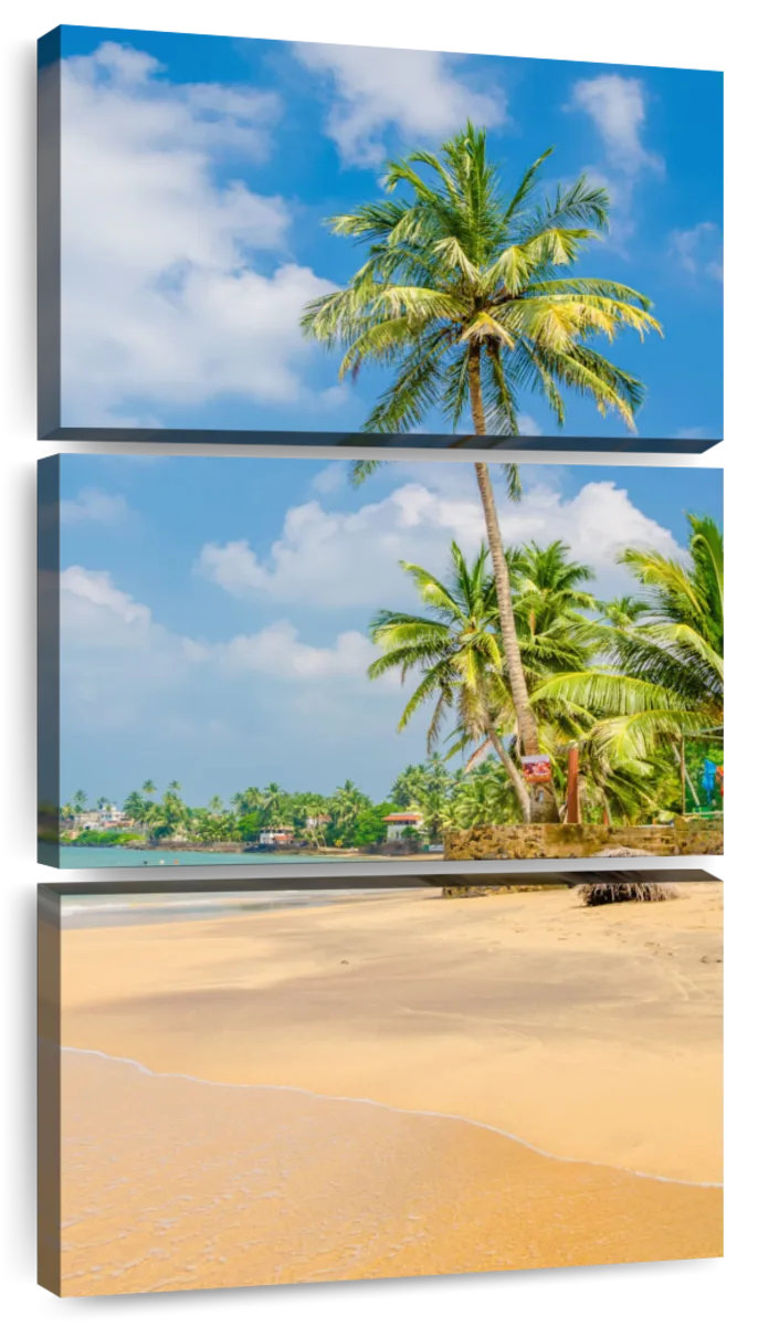 Beachcrest Home Exotic Summer Palm Trees - Wayfair Canada